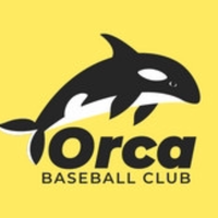 Orca｜teams